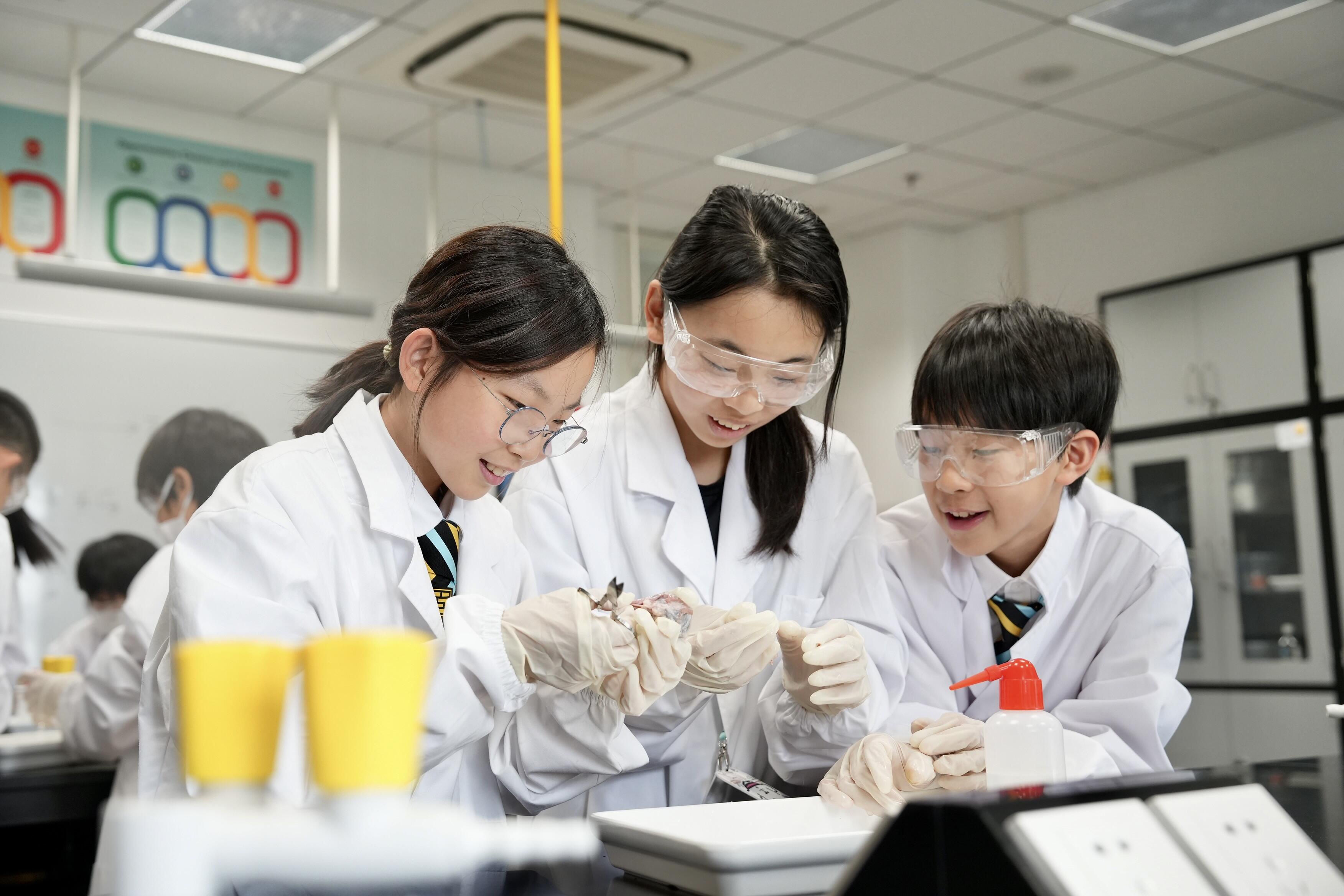 Shanghai private school,Bilingual primary school, shanghai Junior High ...