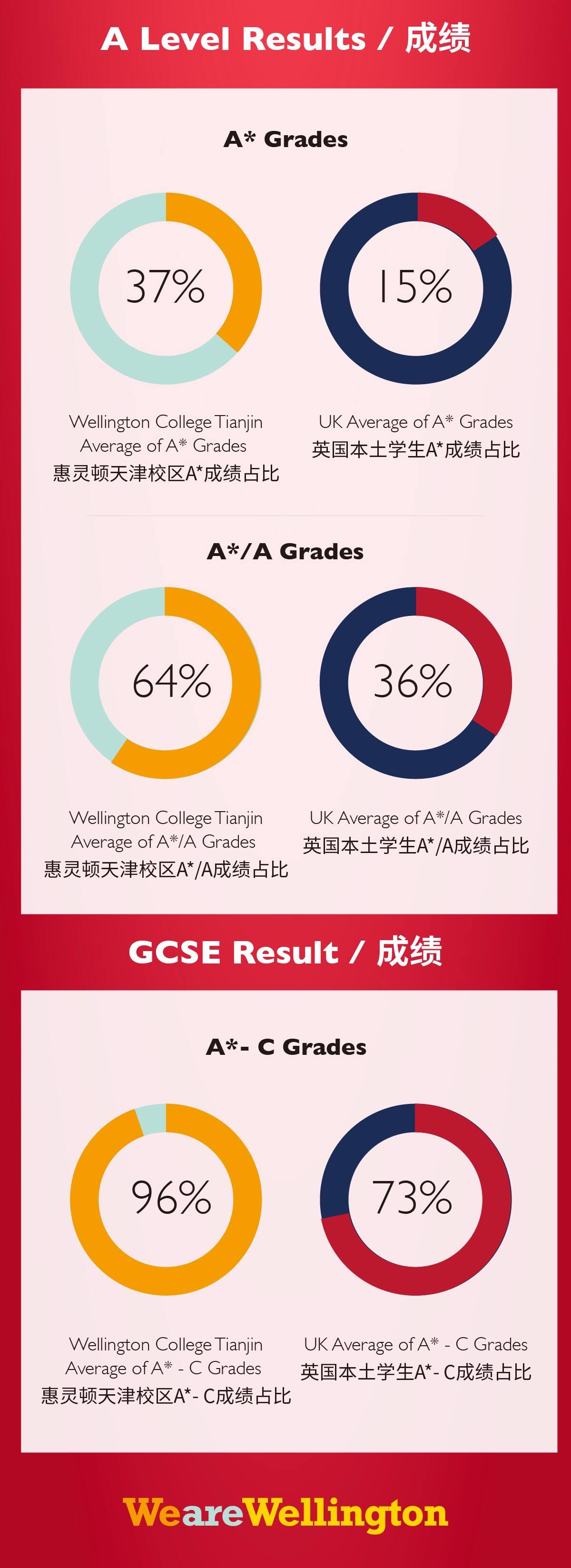 A Level and IGCSE Academic Results - Wellington College International ...